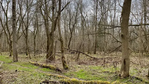 Cawthra Mulock Nature Reserve: de beste routes om te wandelen | AllTrails