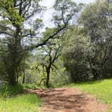 Foresthill Divide Loop, California - 1,142 Reviews, Map | AllTrails