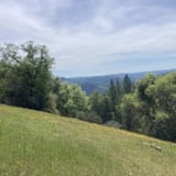 Foresthill Divide Loop, California - 1,142 Reviews, Map | AllTrails