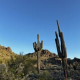Freedom Trail (#302), Arizona - 4,387 Reviews, Map | AllTrails