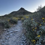 Freedom Trail (#302), Arizona - 4,387 Reviews, Map | AllTrails