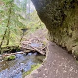 Multnomah Falls Trail, Oregon - 6,904 Reviews, Map | AllTrails