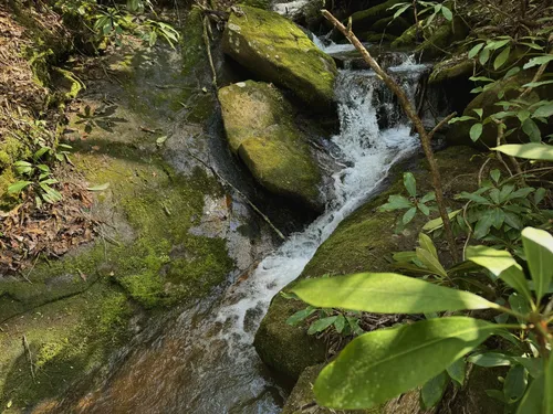 Best Waterfall Trails in Rabun Gap | AllTrails
