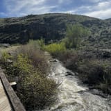 Cowiche Canyon Trail, Washington - 672 Reviews, Map | AllTrails