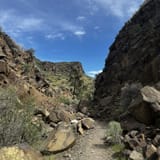 Cowiche Canyon Trail, Washington - 672 Reviews, Map | AllTrails