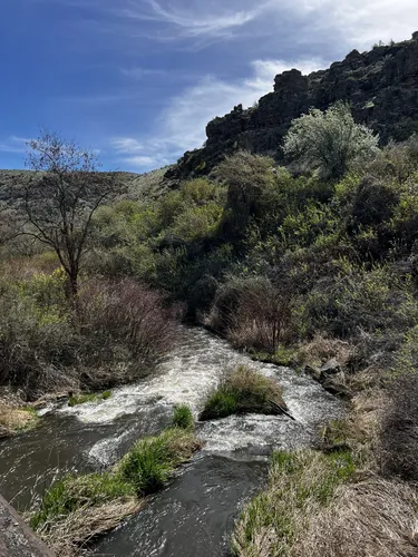 Best River Trails in Yakima | AllTrails