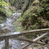 Ravenna Gorge Trail, Baden-Wuerttemberg, Germany - 370 Reviews, Map ...