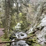 Ravenna Gorge Trail, Baden-Wuerttemberg, Germany - 370 Reviews, Map ...