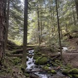 Eagle Creek Trail, Oregon - 825 Reviews, Map | AllTrails