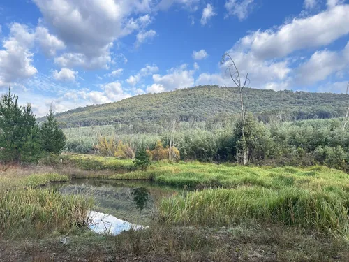 Best Hikes and Trails in Woomargama National Park | AllTrails