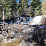 Disappointment Falls via Lady Moon Trail, Colorado - 766 Reviews, Map ...