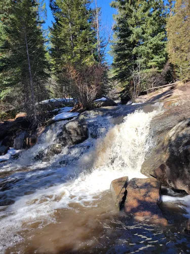 Best Horseback Riding Trails in Red Feather Lakes | AllTrails