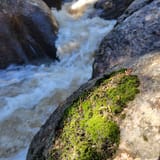 Disappointment Falls via Lady Moon Trail, Colorado - 766 Reviews, Map ...