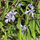 Echo River Spring and Sinkhole Loop, Kentucky - 654 Reviews, Map ...