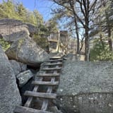 The Labyrinth Trail, New York - 628 Reviews, Map | AllTrails