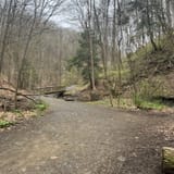 Fall Run Trail, Pennsylvania - 914 Reviews, Map | AllTrails