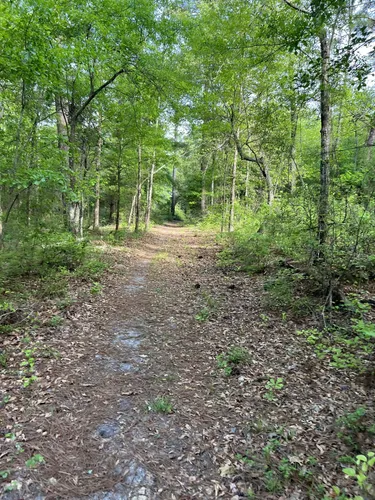 Best Kid Friendly Trails in Aiken | AllTrails
