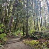 O. O. Denny County Park Loop Trail, Washington - 650 Reviews, Map ...