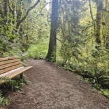 O. O. Denny County Park Loop Trail, Washington - 650 Reviews, Map ...