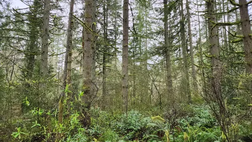 Best Easy Trails in Paradise Valley Conservation Area | AllTrails