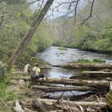 Deep Creek Loop Trail, North Carolina - 2,121 Reviews, Map | AllTrails