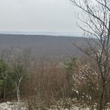 Jackson Trail, Pennsylvania - 196 Reviews, Map | AllTrails