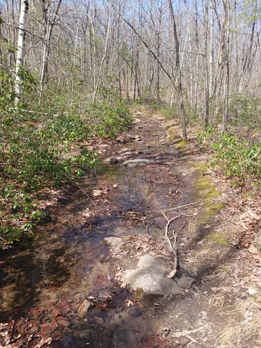 Best Moderate Trails in Nashua Valley Conservation Area | AllTrails