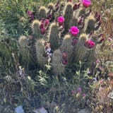 Thompson Peak via Dixie Mine Trail, Arizona - 888 Reviews, Map | AllTrails