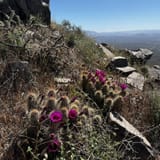 Thompson Peak via Dixie Mine Trail, Arizona - 888 Reviews, Map | AllTrails