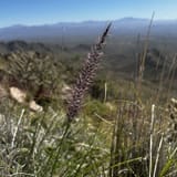 Thompson Peak via Dixie Mine Trail, Arizona - 888 Reviews, Map | AllTrails