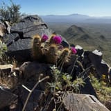 Thompson Peak via Dixie Mine Trail, Arizona - 888 Reviews, Map | AllTrails