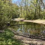 Tanyard Perimeter Loop, Arkansas - 2,728 Reviews, Map | AllTrails