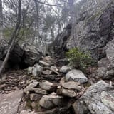 Jessie Gerard Trail, Connecticut - 1,449 Reviews, Map | AllTrails