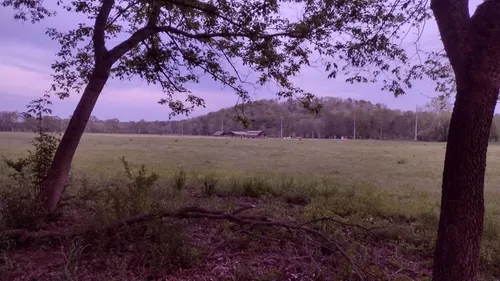 Best Hikes and Trails in Eagle's Beak Park | AllTrails