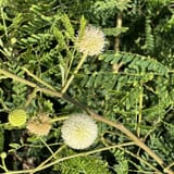 Kapalua Coastal Trail, Maui, Hawaii - 3,528 Reviews, Map | AllTrails