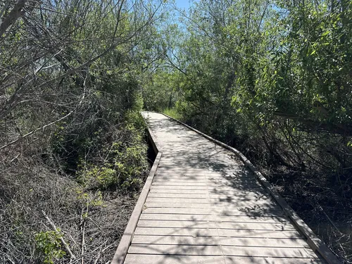Best River Trails in Oceanside | AllTrails