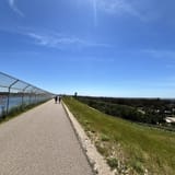 Lake Miramar Trail, California - 3,796 Reviews, Map | AllTrails