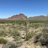 Saguaro, Granite, Ridge, and Mine Trail Loop, Arizona - 1,821 Reviews ...