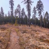 Pig Farm Trail System, Montana - 256 Reviews, Map | AllTrails