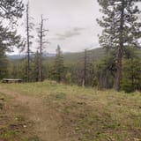 Pig Farm Trail System, Montana - 256 Reviews, Map | AllTrails