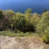 Point Defiance Park Outer Loop, Washington - 3,918 Reviews, Map | AllTrails