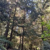 Point Defiance Park Outer Loop, Washington - 3,918 Reviews, Map | AllTrails