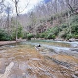 Meadow Run Trail, Pennsylvania - 1,234 Reviews, Map | AllTrails