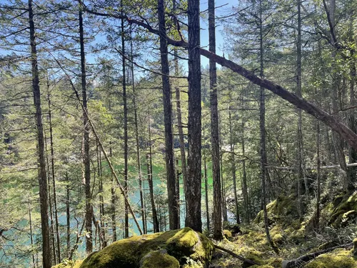 Best Beach Trails in Secret Cove | AllTrails