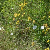 Corral Canyon Loop, California - 1,752 Reviews, Map | AllTrails