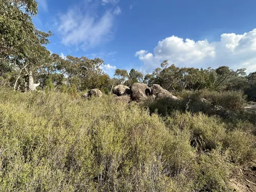 Best Hikes and Trails in Woomargama National Park | AllTrails