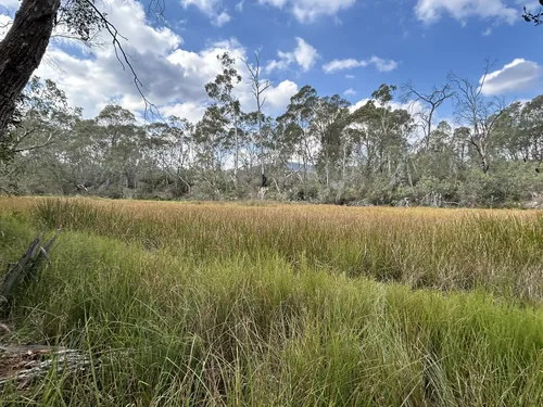 Best Hikes and Trails in Woomargama National Park | AllTrails