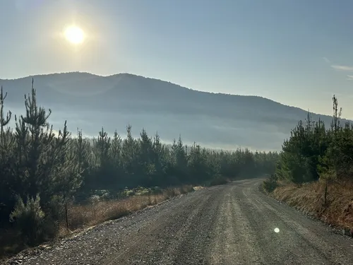 Best Hikes and Trails in Woomargama National Park | AllTrails