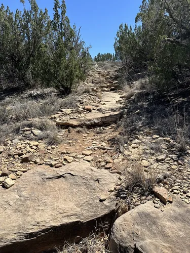 Best Walking Trails in Santa Rosa | AllTrails