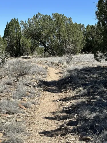 Best Walking Trails in Santa Rosa | AllTrails